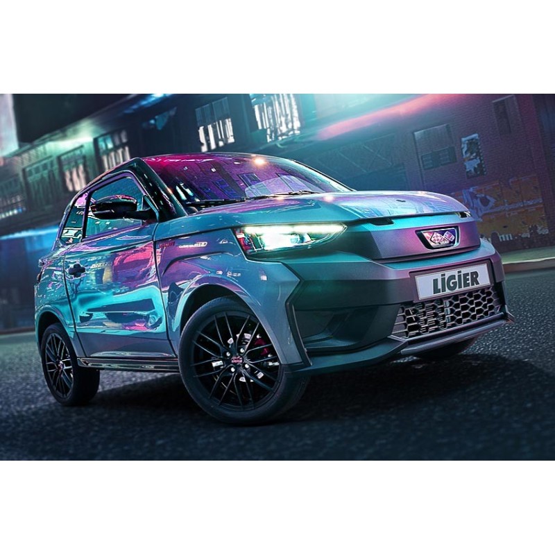 Double commande AIXAM GRECAV BELLIER CHATENET LIGIER MICROCAR MEGA